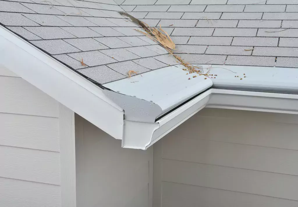 Everything You Need to Know About Gutter Guards